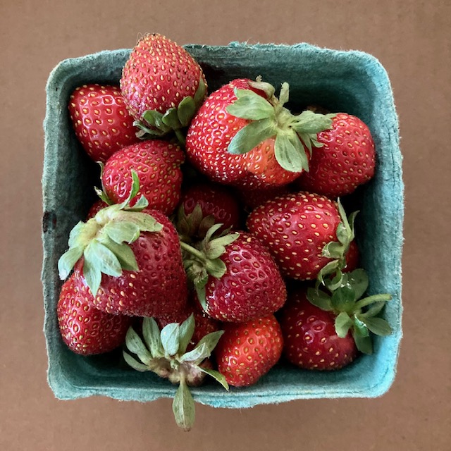 Strawberry Pint – CasaCano Farms