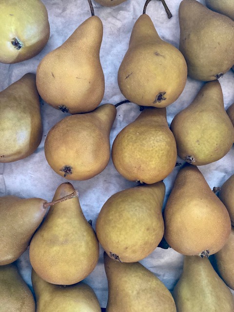 Bosc Pears – 3 Lb Bag – CasaCano Farms